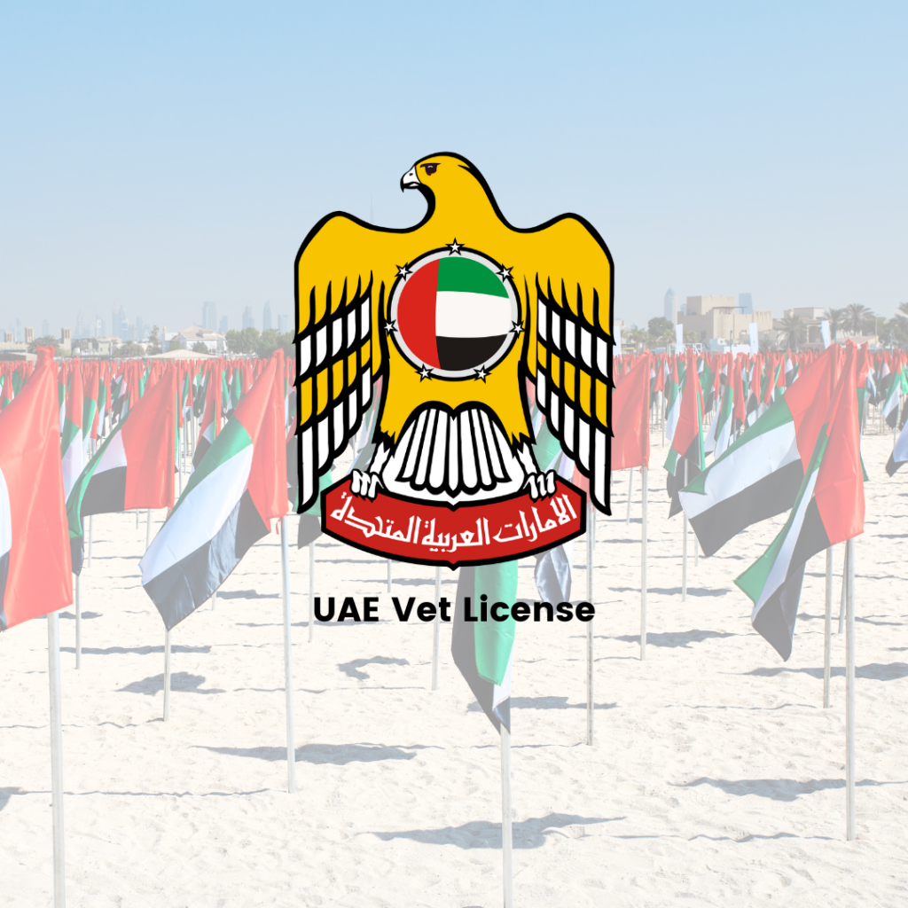 GVC Vets – GVC Vets