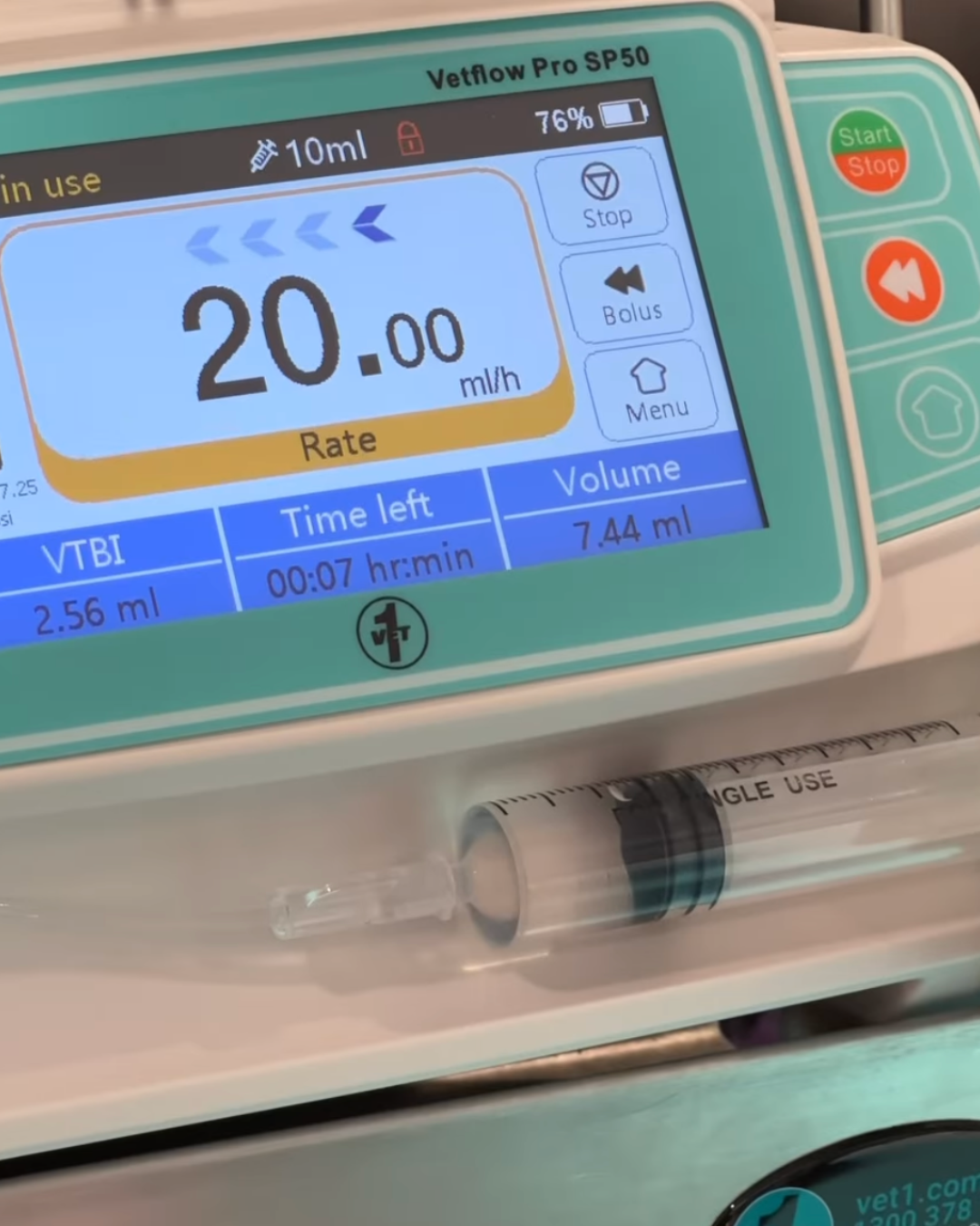 Unveiling the Importance of Vet Nurse Patient Care Plans - GVC