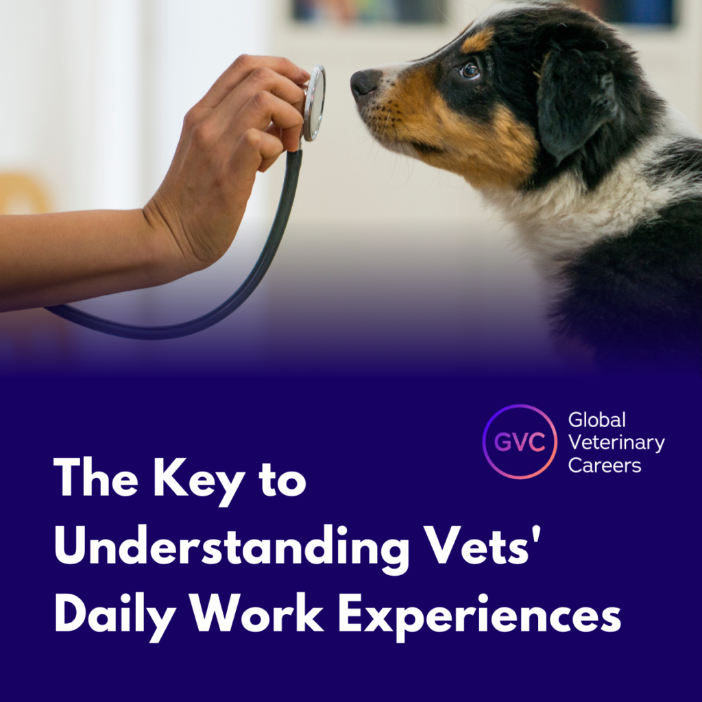 The Key to Understanding Vets’ Daily Work Experiences – GVC Vets