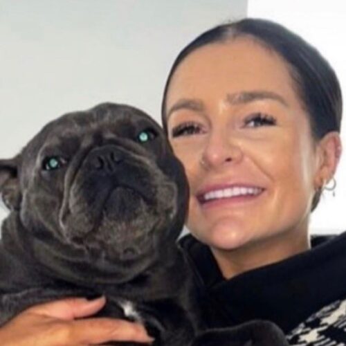 Veterinary Surgeon - PT - Global Veterinary Careers